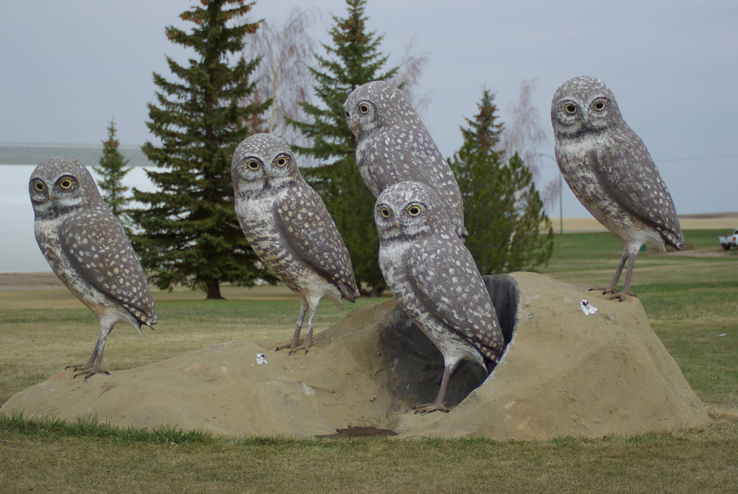 Larger than Life Wildlife Sculptures – Town of Leader